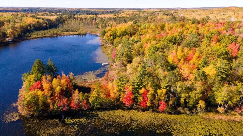 When Wisconsin fall colors are expected to peak in 2025 - Forest County ...